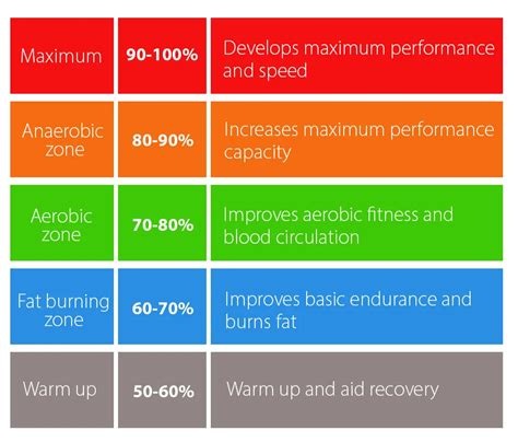 Heart Rate Zones Explained At Hayden Ness Blog
