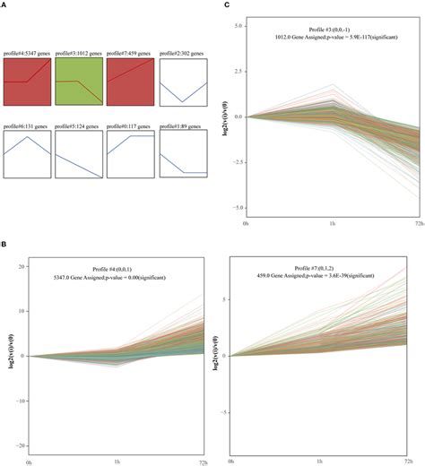 Short Time Series Expression Miner Stem Analysis Of Gene Expression