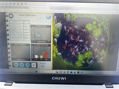 Solved Calculate The Expected Proportion Of Heterozygotes In