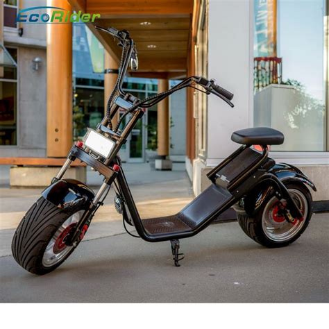 Ecorider Citycoco Scooters Electric Bike Scooter Electric Scooter