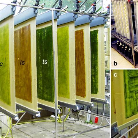 Pdf Growing Microalgae As Aquaculture Feeds On Twin Layers A Novel