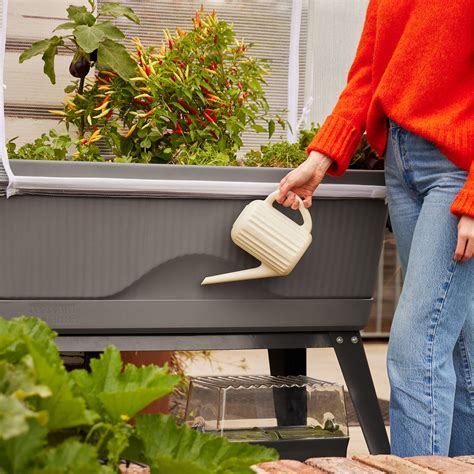 Georgie The Self Watering Planter Backyard Farmer
