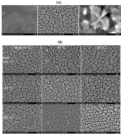 Figure 1 From Injection Molding Of Low Density Polyethylene Ldpe As A