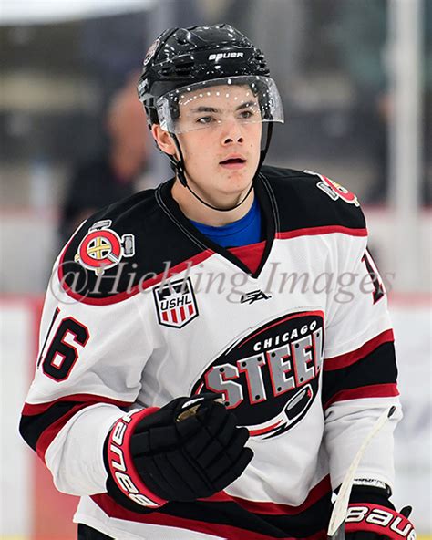 Sam Colangelo Stats Contract Salary And More