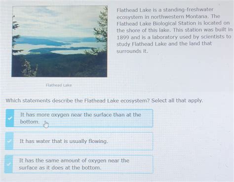 Flathead Lake Flathead Lake Is A Standing Freshwater Ecosystem In