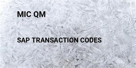 Mic Qm Tcode In Sap Transaction Codes List
