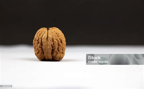 복사 공간이있는 쉘 클로즈업 회색 배경의 크리에이티브 포스터 월넛 너트 매크로 개념입니다 개념에 대한 스톡 사진 및 기타 이미지 Istock