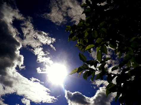 배경 화면 햇빛 자연 반사 하늘 분기 푸른 태양 분위기 구름 나무 잎 꽃 어둠 우디 식물 2500x1875 Gayforgod 204727