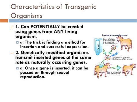 Genetics In Agriculture Ppt Download