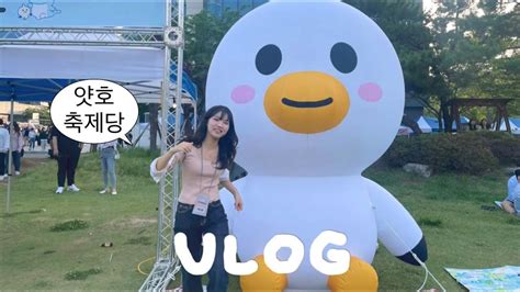 ᖰᙏ̤̫ᖳ 5월일상 모음 Zip 대학교 축제 운영하고 즐거운 어버이날 보내기 ♡ 대학교 3학년 일상 브이로그 대학축제 어버이날 Youtube