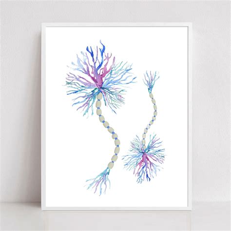 Neuron Poster Science Art Nervous System Print Wall Decor Etsy
