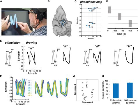 Figure From Dynamic Stimulation Of Visual Cortex Produces Form Vision In Sighted And Blind