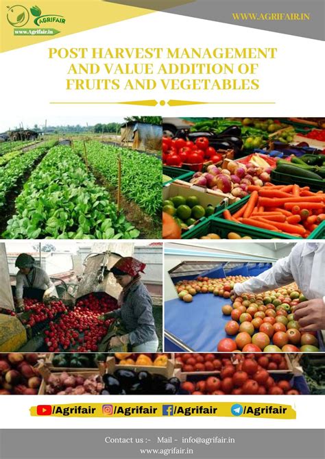 Post Harvest Management And Value Addition Of Fruits And Vegetables Pdf