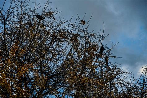 The Ruler Design Text Space Landscape Photo Background And Picture For Free Download Pngtree