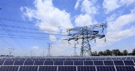 출력제어 미이행 8개 태양광사업자에 과징금