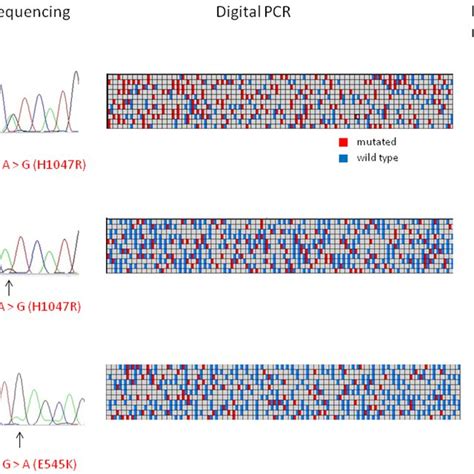 Detection Of Pik3ca Mutation E542k E545k H1047r By Dna Sequencing Download Table