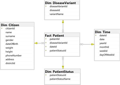 The Factpatient Table And Dimensions Download Scientific Diagram