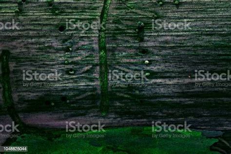 껍질을 벗 겨 껍질과 신비로운 외계인 패턴 신비한 녹색 소나무 나무 질감 0명에 대한 스톡 사진 및 기타 이미지 0명 구멍 껍질 벗긴 Istock