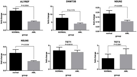 5 Methylcytosine Rna Modification Regulators Based Patterns And Features Of Immune