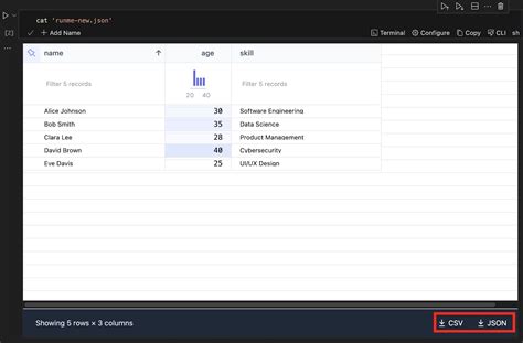 Custom Output Rendering • Runme