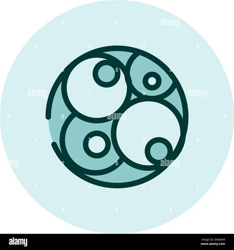 Embriology Science Illustration Vector On A White Background Stock