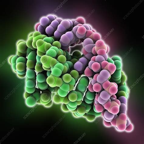 Biotin Binding Rna Molecule Stock Image C015 1701 Science Photo Library