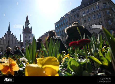 Presentation Of The New Seating Areas And Planters For The Munich