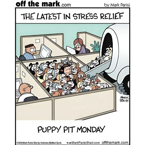 Random Stolen Meme Dump Sunday June 15th Part 2 Album On Imgur