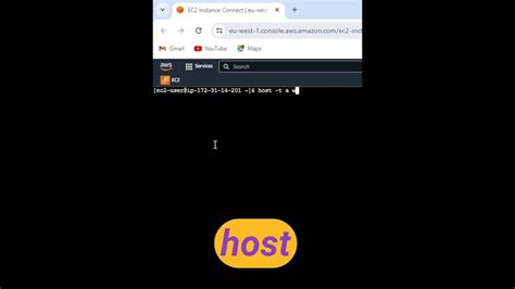 Understanding The Host Command In Kannada Neeltechjunction Kannadashorts