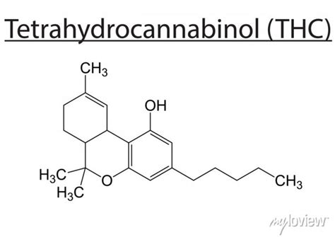 Chemical Structure Of Tetrahydrocannabinol Thc On A White Background • Wall Stickers White