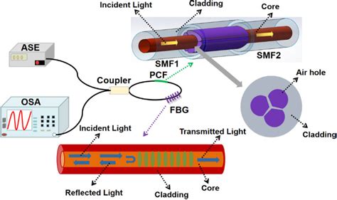 Schematic Diagram Of Pcf Cascade Fbg Based On Sagnac Loop Download