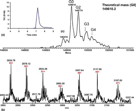 Intact Igg After Step Elution 2 ␮ G Was Injected A A Total Ion