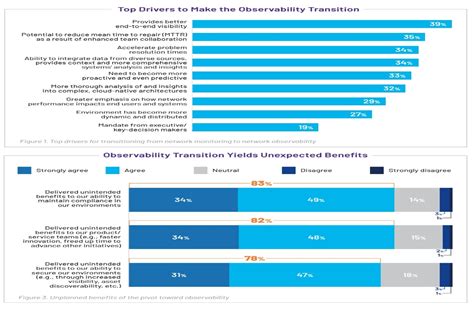 Formal Observability Strategy Helps Detect Threats