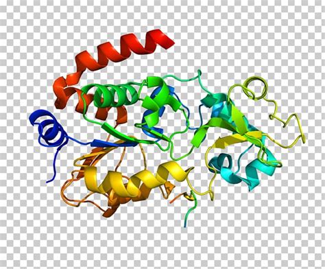 Protein Biology Clipart At Frank Ray Blog