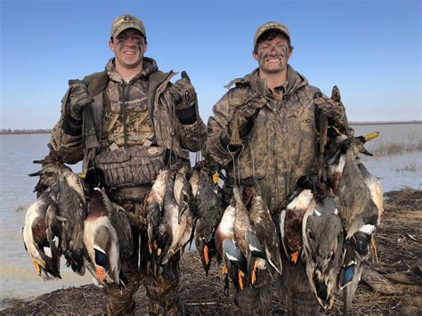 Mallard Duck Hunt Ar Trips4trade