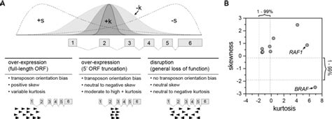 Predicting The Functional Impact Of Transposon Insertion On Individual