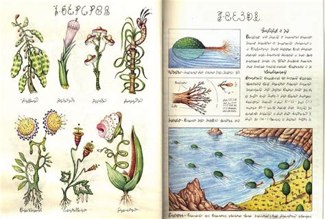 The Weirdest Book In The World Codex Seraphinianus