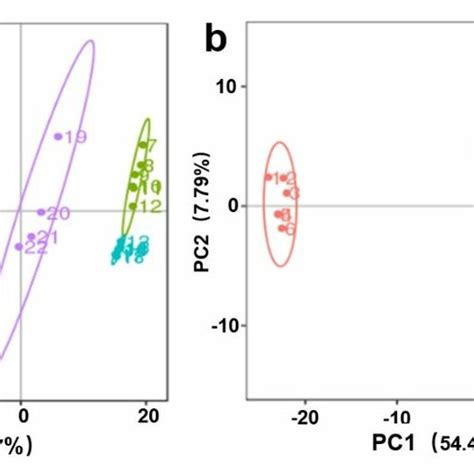 Pca Biplot Based On Proximate Composition Of Tauco Products N 24 R