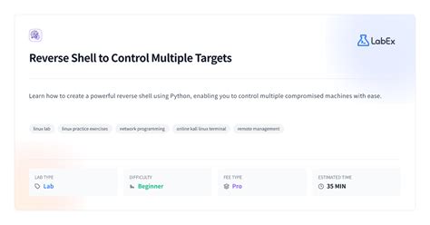 Dominando Técnicas De Reverse Shell Para Gerenciamento Remoto Seguro Labex