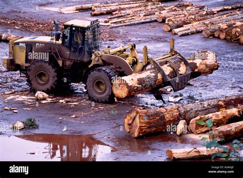 A Log Picker Sorting Logs At A Log Yard At Beaver Cove On Vancouver