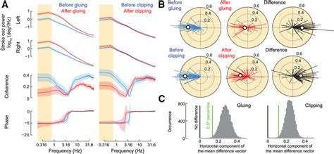 Physically Reducing The Inputs To Jo Neurons By Gluing The Second And Download Scientific