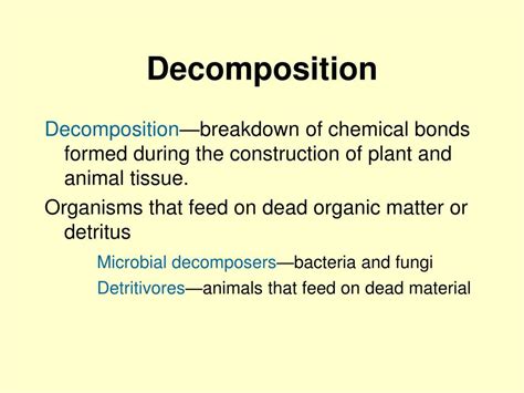 Computer Science Decomposition Example At Toby Denison Blog