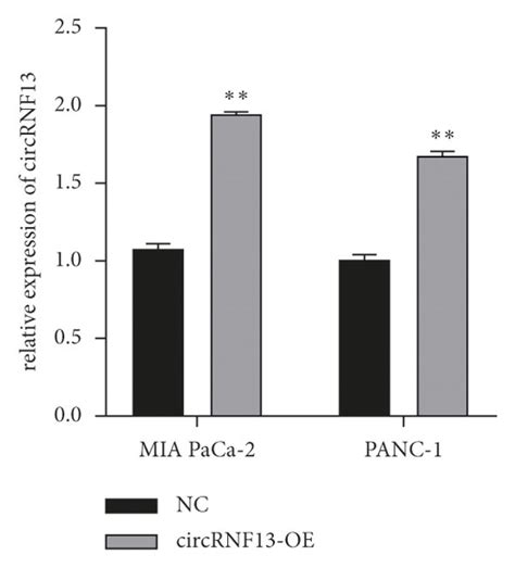 Bioinformatic Predication Of The Possible Target Of Circrnf13 And The