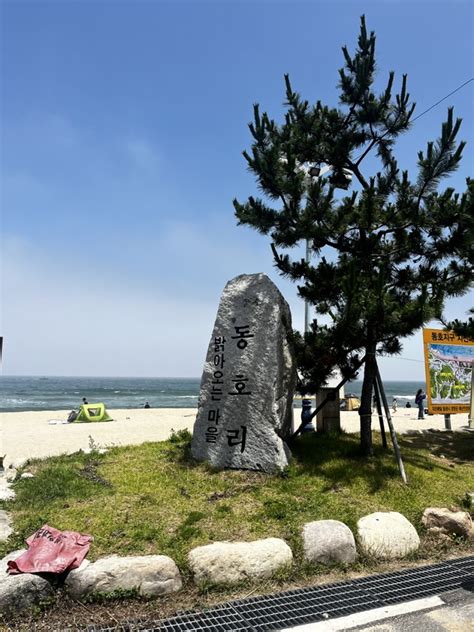 양양 죽다 살아난 양양 서핑여행 동호면옥와이키키서프동호해변설해원 네이버 블로그