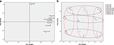 principal component analysis of the loading plot a and score plot b