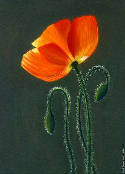 Мак в интернет магазине на Ярмарке Мастеров Москва доставка по России Товар продан Boho