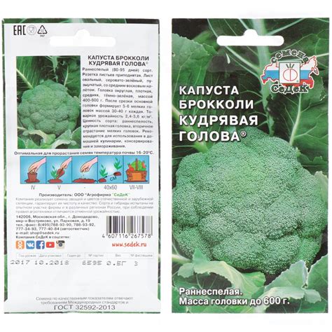Семена Капуста брокколи, Кудрявая Голова, цветная упаковка, Седек в ...