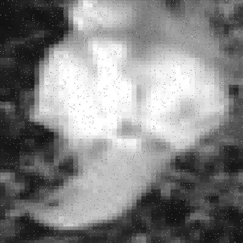 Birdimage Object Detection Dataset V57 2024 02 02 827am By Image