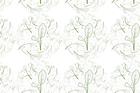 완벽 한 패턴 어린 잎 묘목 브로콜리 Microgreen 원형 프레임 생 콩나물 건강한 식생활 개념 벡터 일러스트 레이 션 0