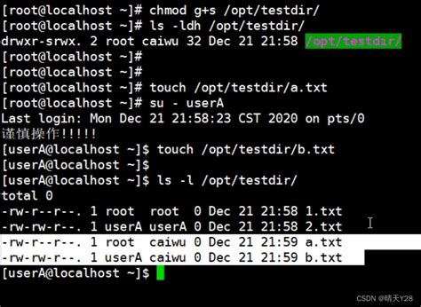 在linux操作系统中文件目录特殊权限 linux 文件系统特殊权限位 csdn博客